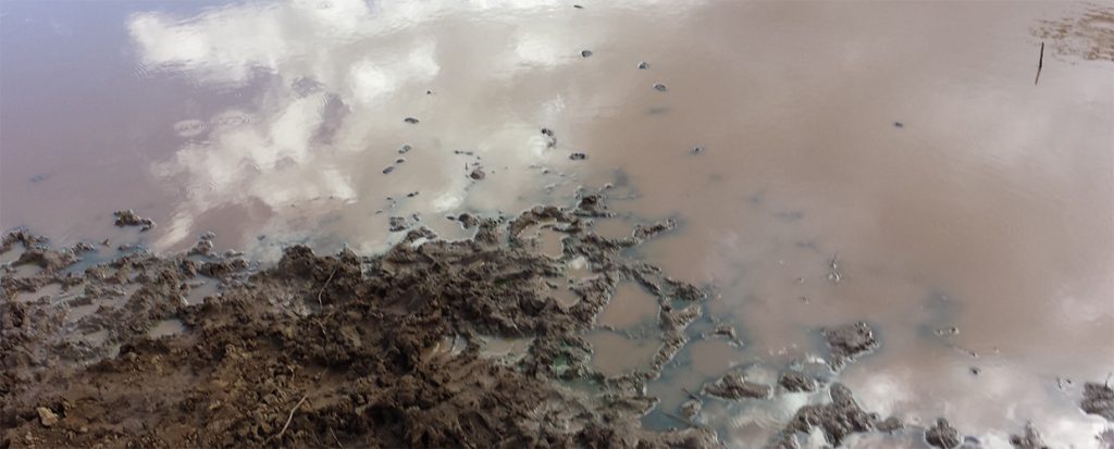 Water Scarcity and Sanitation - Wells For The World Inc.